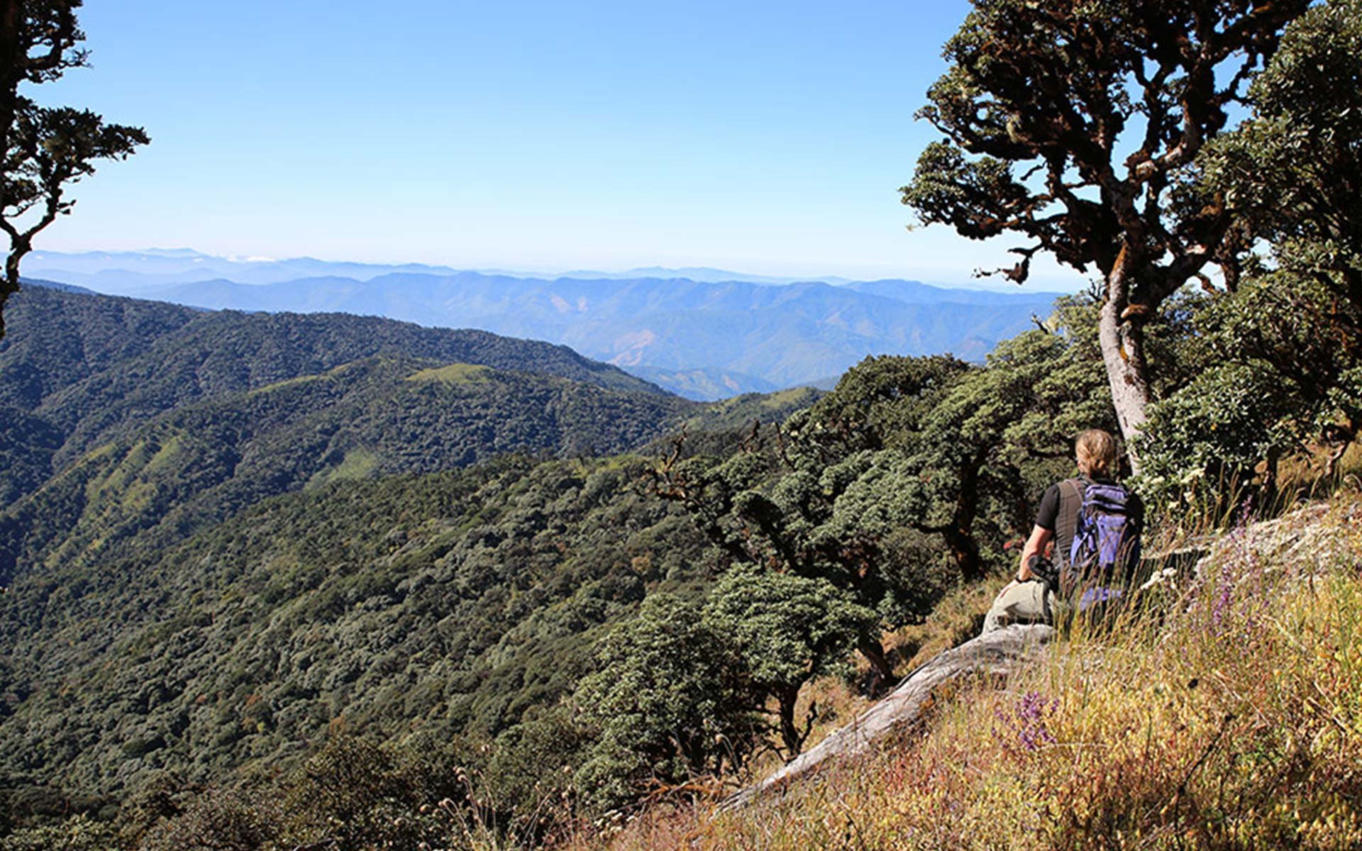 Mount Victoria Adventure | Best Myanmar Tous and Holidays